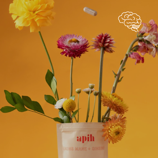 Our mission – Apih Way